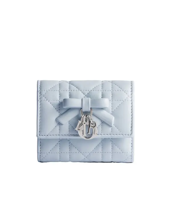Dior My Wallet - Ice-blue