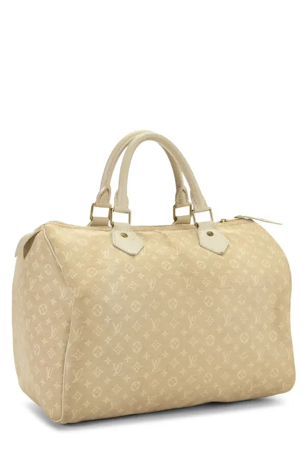 LOUIS VUITTON Mini Lin Speedy 30 Bag