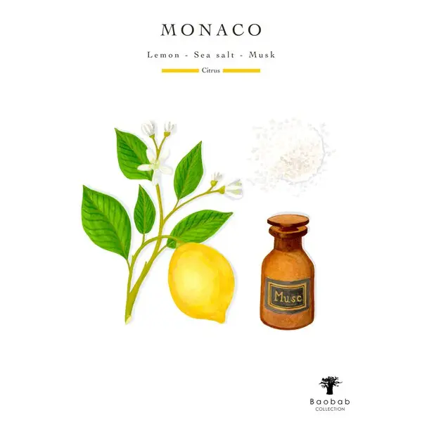 BAOBAB COLLECTION Max 10 Monaco Candle