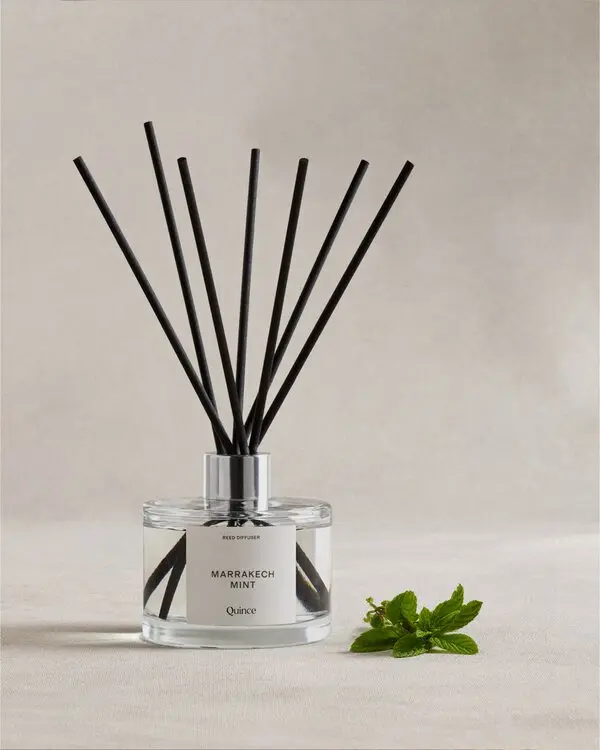 Quince Marrakech Mint Reed Diffuser, Reed Diffuser Oil - One-color