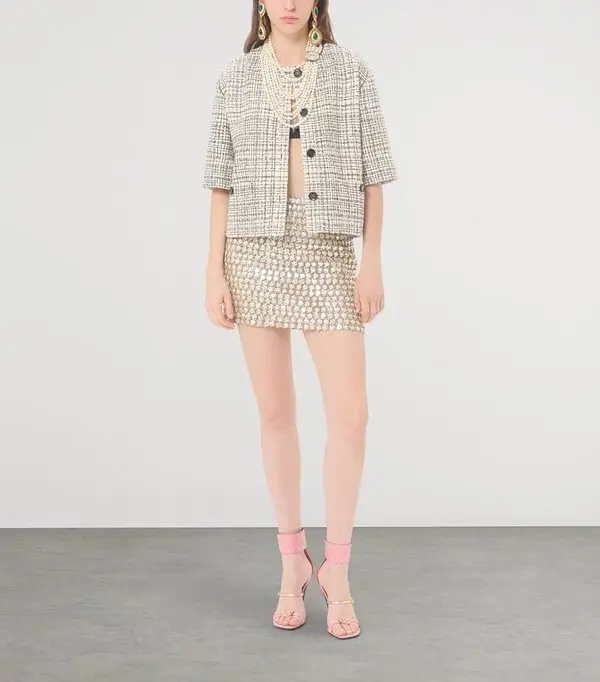 Valentino Garavani Embroidered Organza Mini Skirt