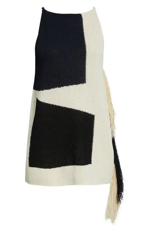 Proenza Schouler Saskia Colorblock Intarsia Fringe Midi Sweater - Sand Multi