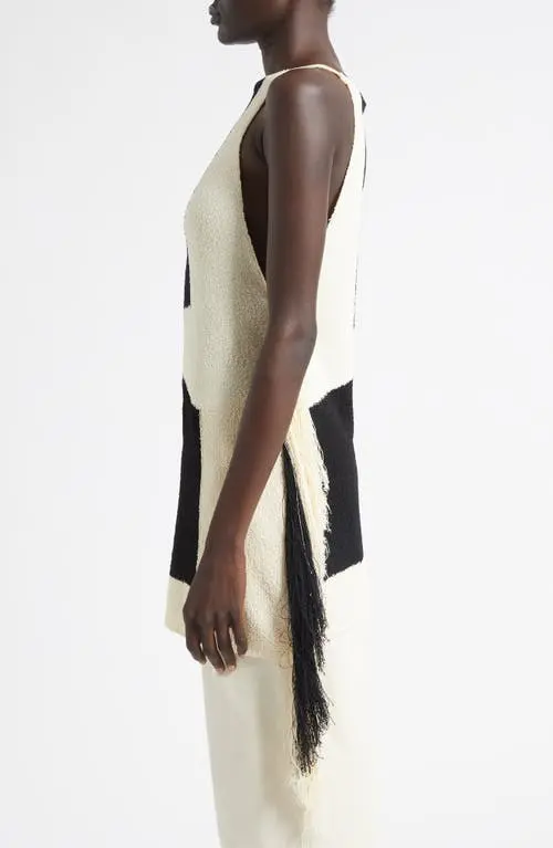 Proenza Schouler Saskia Colorblock Intarsia Fringe Midi Sweater
