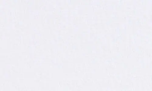 SKIMS Lace Trim Boyshorts