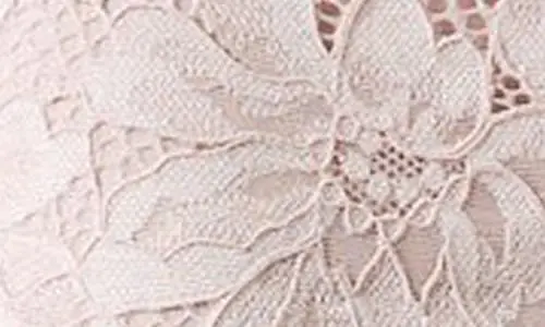 Guess Katrina Lace Midi Skirt