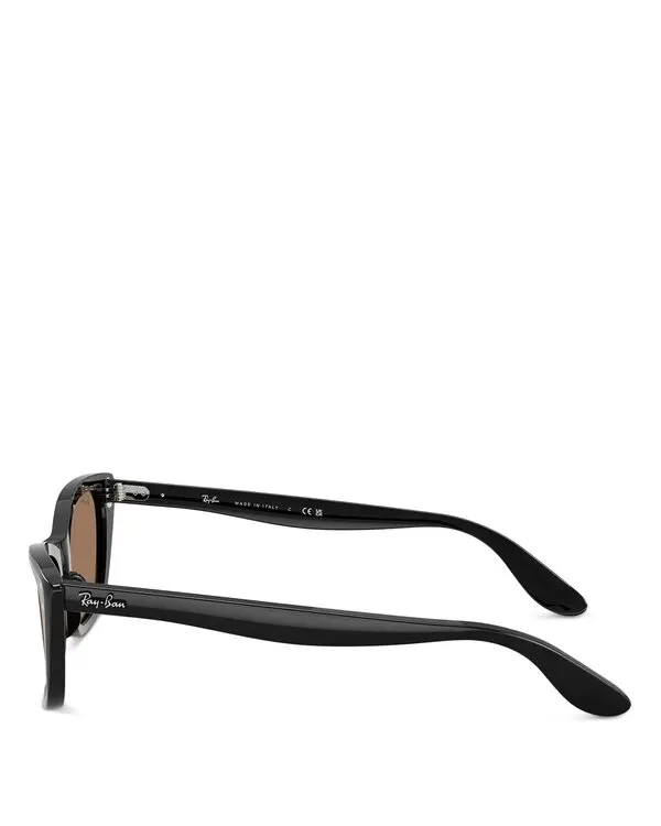 Ray-ban Lady Burbank Cat Eye Sunglasses