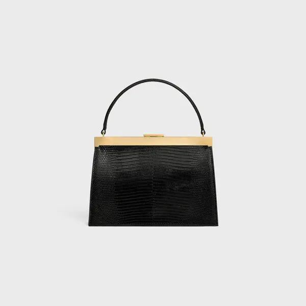 Celine Small Augustine In Lizard