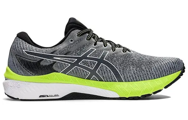 Asics Gt-2000 10 2e Wide "carrier - Grey
