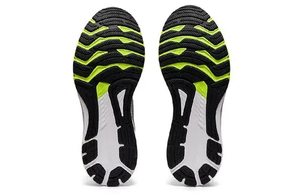 Asics Gt-2000 10 2e Wide "carrier