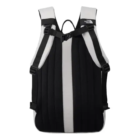 The North Face Standard Backpack