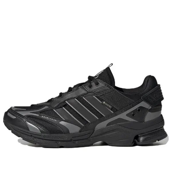 Adidas Spiritain 2000 Gore-tex Low Top Sneakers - Black/gray