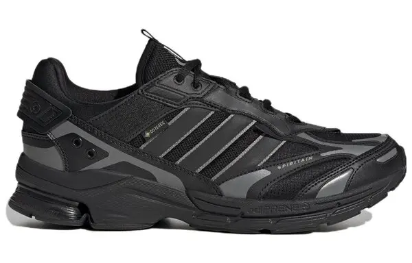 Adidas Spiritain 2000 Gore-tex Low Top Sneakers - Black/gray