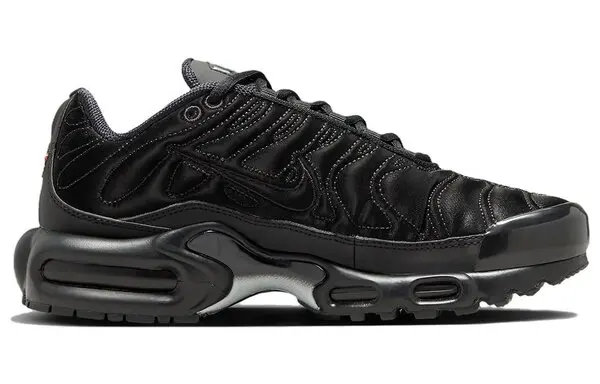 Nike Max Plus Sneakers