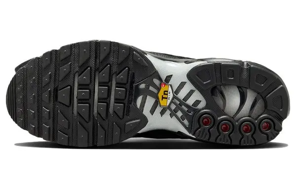 Nike Max Plus Sneakers