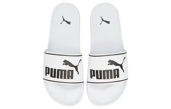 PUMA Leadcat 2.0 Slides