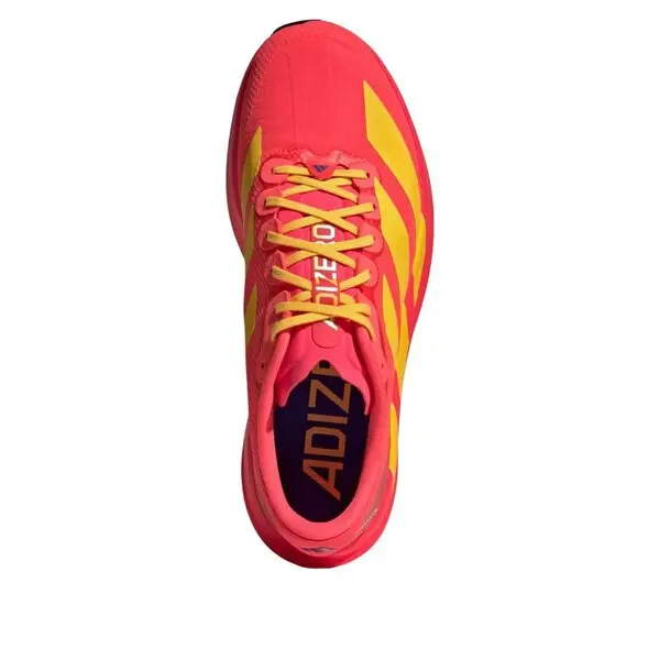 Adidas Adizero Evo Sl Woven Sneakers - Lucid Red/bold Gold/semi Lucid Blue