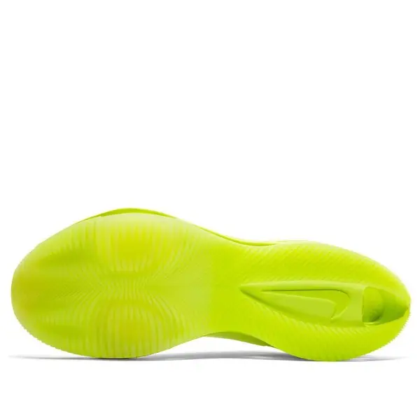 Nike Zoom Double Stacked Low Top Sneakers