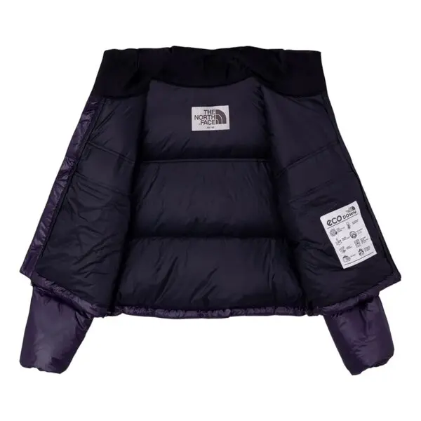 The North Face Novelty Nupsi Rds Down Jacket - Violet