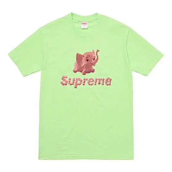 Supreme Ss17 Elephant Tee - Light Green
