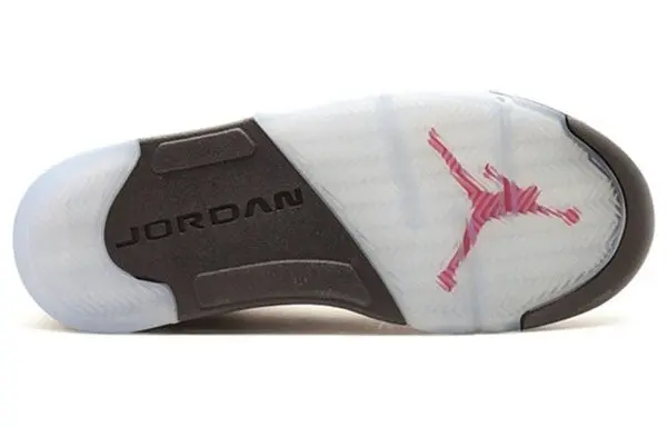 JORDAN 5 Retro Premio "bin23