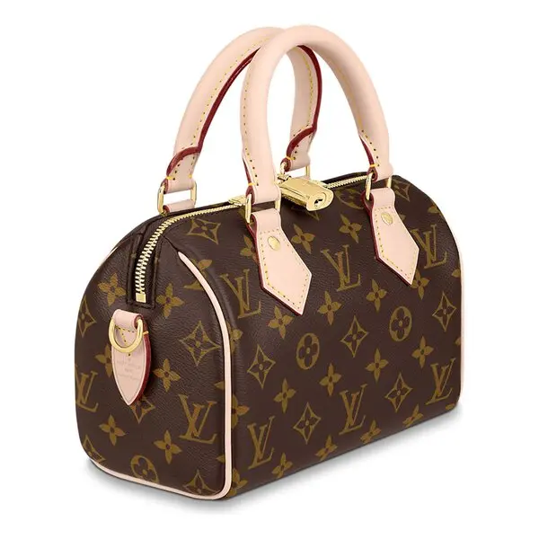 LOUIS VUITTON Speedy Bandoulière 20 Canvas Handbag