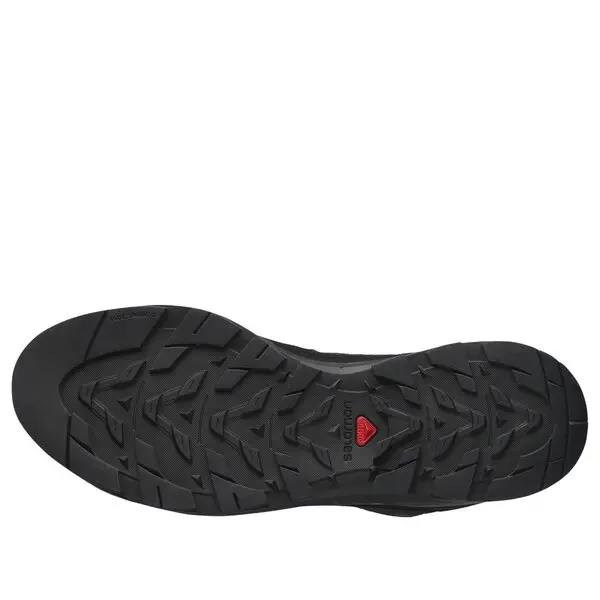 SALOMON X Carhartt Wip X-alp
