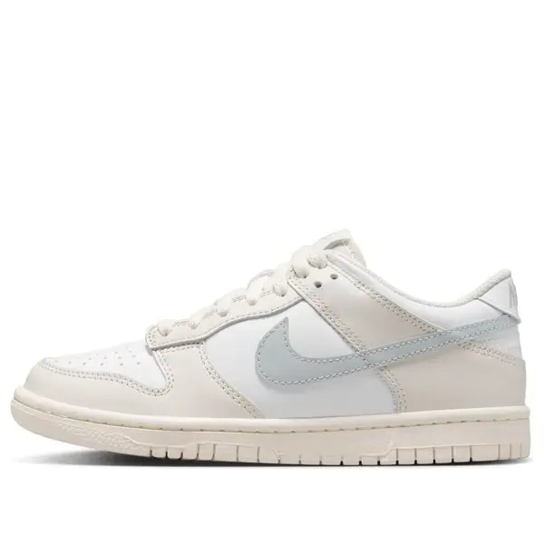 Nike Dunk Low Sneakers
