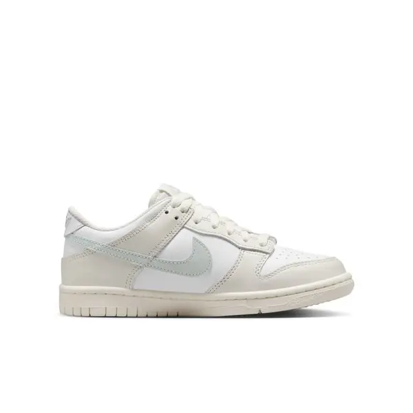 Nike Dunk Low Sneakers
