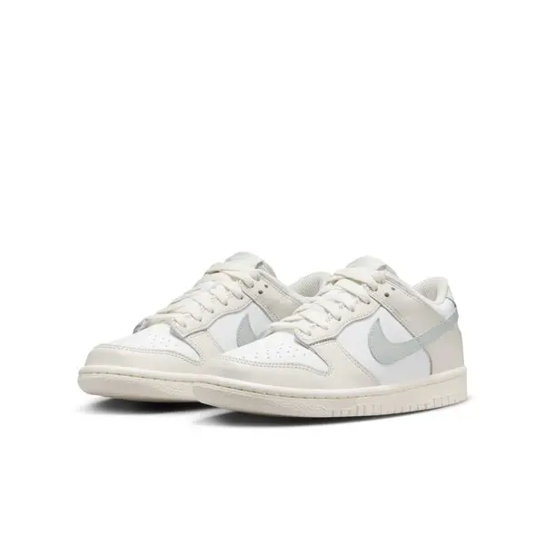 Nike Dunk Low Sneakers