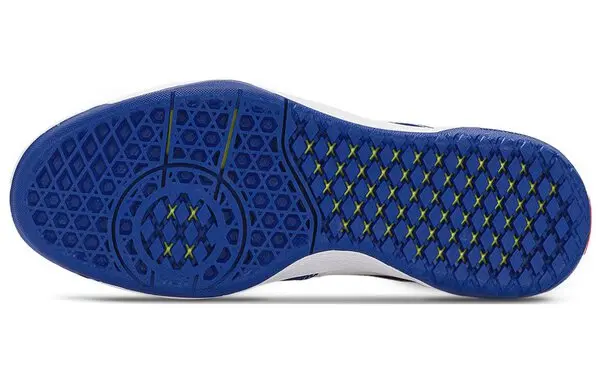 VANS Rowan 2 Skate Shoes - Blue/white