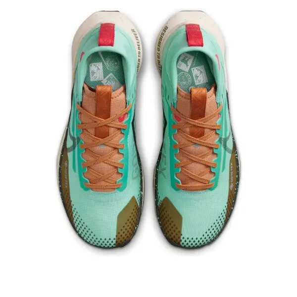Nike Pegasus Trail 4 Gtx Running Shoes - Teal/brown