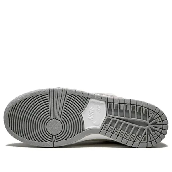 Nike Zoom Dunk Low Pro