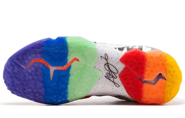 Nike Lebron Premium 'what The Lebron' Basketball Sneakers - Black/silver/silverblue
