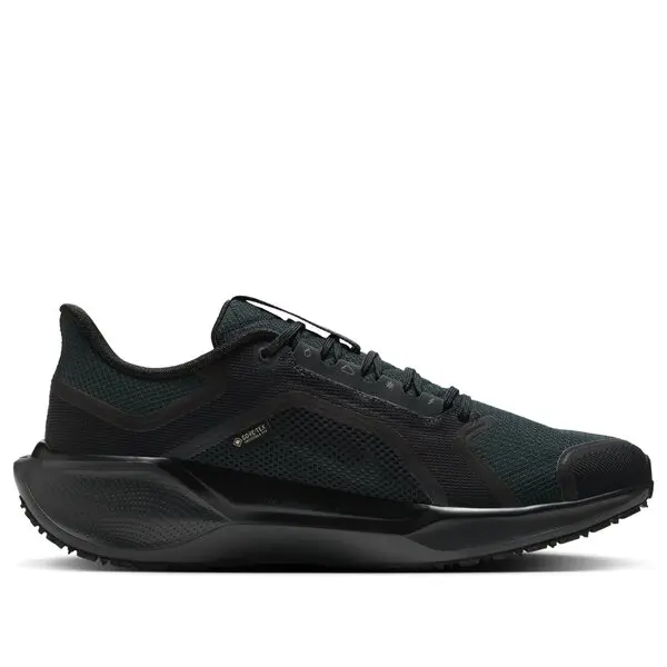Nike Zoom Pegasus 41 Gore-tex Sneakers - Black/black