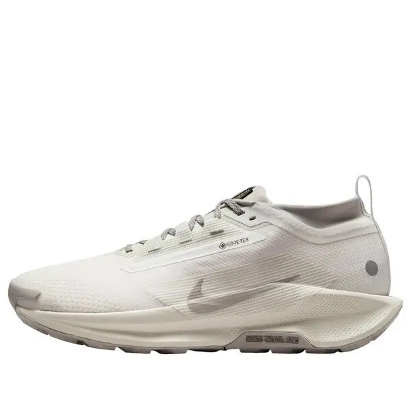 Nike Pegasus Trail Gore-tex Sneakers
