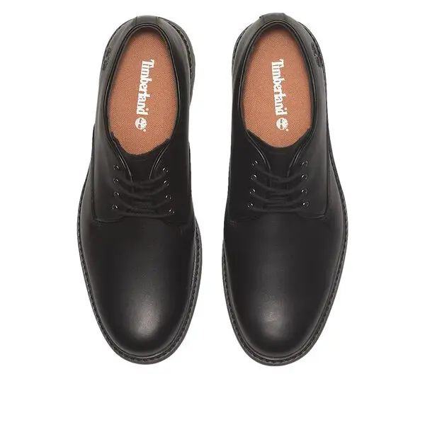 Timberland Stormbucks Waterproof Lace Up Derby Shoes