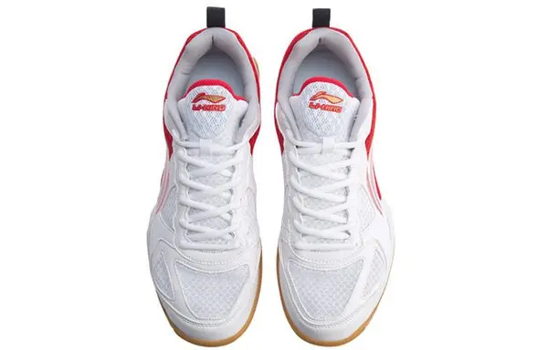 LI-NING Ma Long Signature Table Tennis Shoes