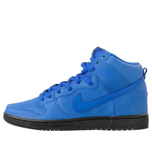 Nike Dunk High Pro "eiffel 65 - Blue