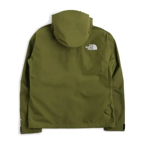 The North Face Gore-tex Mountain Jacket - Green