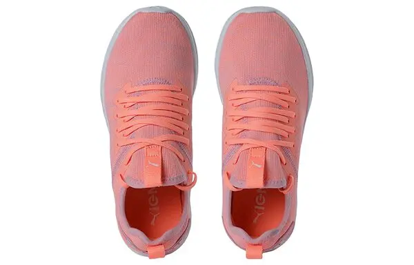 PUMA Ignite Flash Evoknit Sneakers