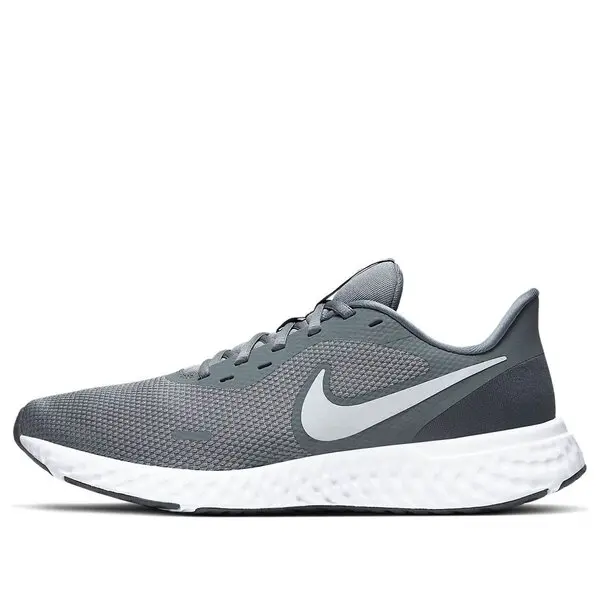 Nike Revolution 5 Low Top Sneakers - Grey