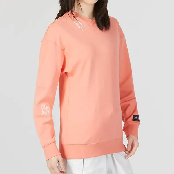 Adidas Graphic Sweatshirt