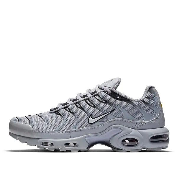 Nike Max Plus Tn Sneakers - Grey