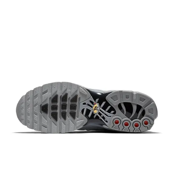 Nike Max Plus Tn Sneakers - Grey