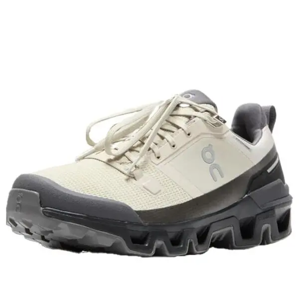 On Cloudwander Waterproof Sneakers