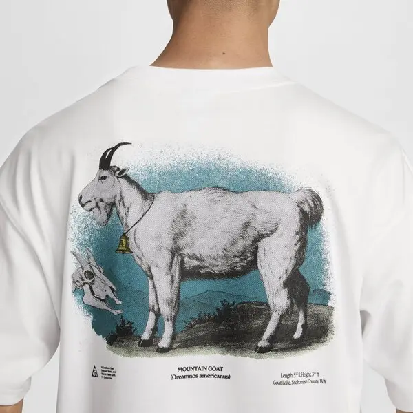 Nike X Graphic Dri-fit T-shirt 'white
