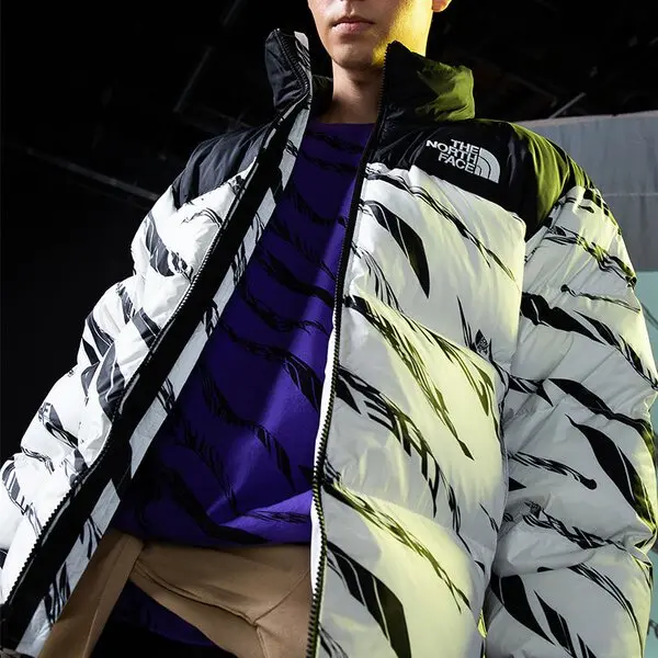 The North Face Nuptse Down Parka 700