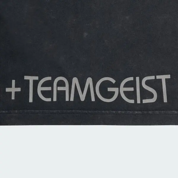 Adidas Adilenium Season 4 Team Geist Graphic Short Sleeve T-shirt
