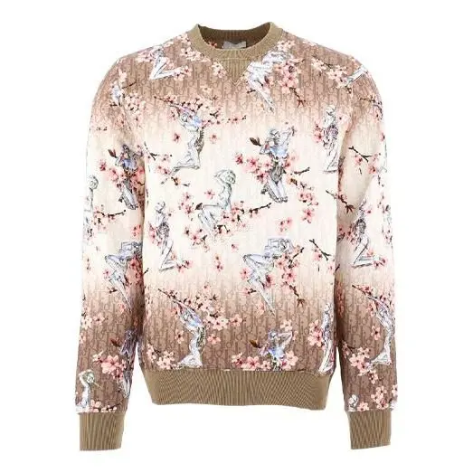 Dior X Sorayama All Over Graphic Print Sweatshirt - Brown