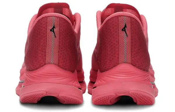 Mizuno Wave Rebellion Flash 2